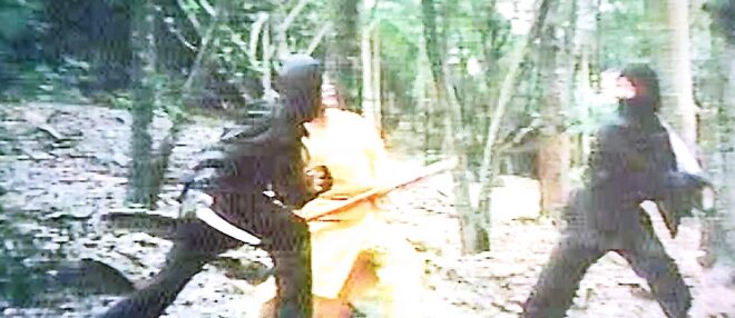 【レア作品！カンフー映画】忍者VS阿羅漢 遥かなる王道(少林與忍者SHAOLIN VS. NIJA)86分 - 元レンタル店店長まぁくのB級日常映画館