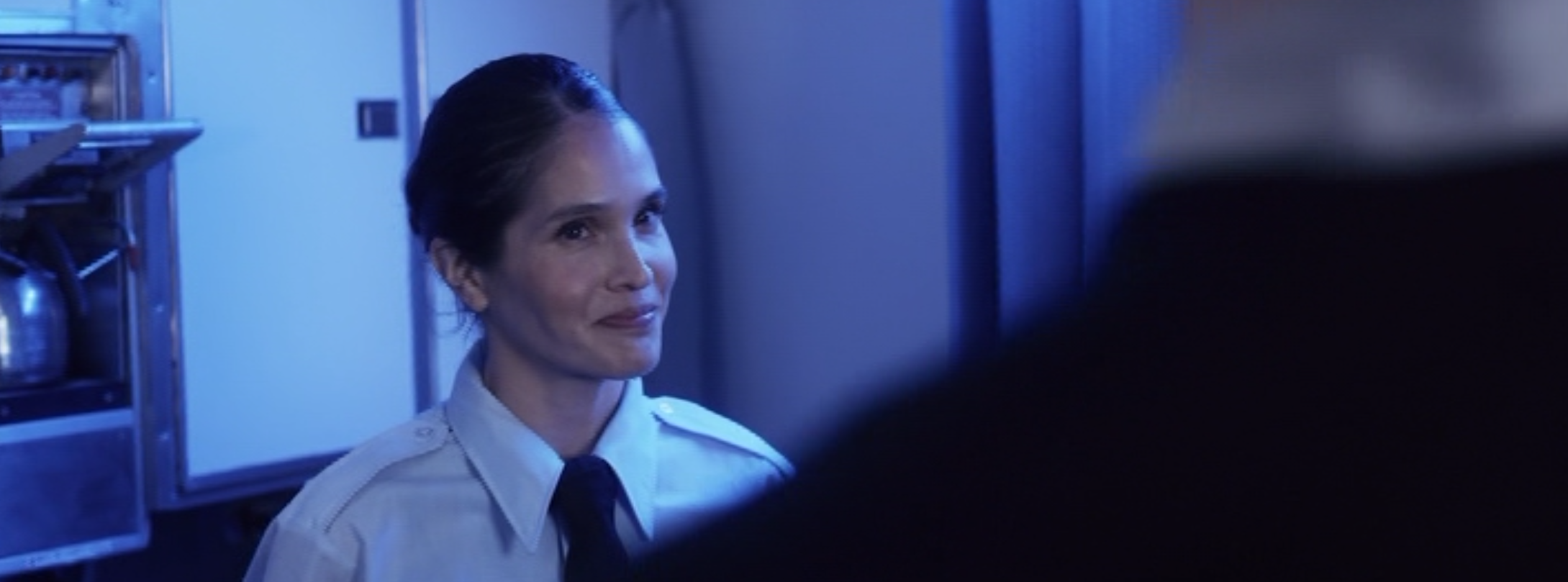 ブレット・エクスプレス 弾丸特急(BULLET TRAIN DOWN)86分 - 元レンタル店店長まぁくのB級日常映画館