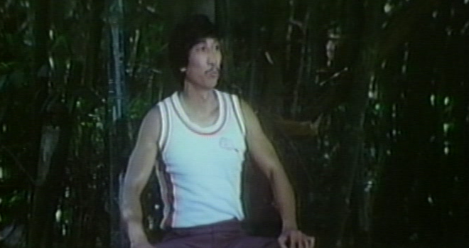 【レア作品！香港映画】ブルース・リの復讐(凶終/猛龍反撃BRUCE STRIKES BACK/NINJA STRIKES BACK)90分 ...