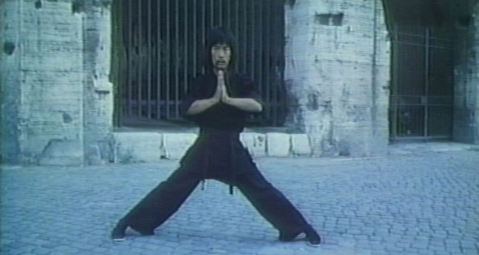 【レア作品！香港映画】ブルース・リの復讐(凶終/猛龍反撃BRUCE STRIKES BACK/NINJA STRIKES BACK)90分 ...