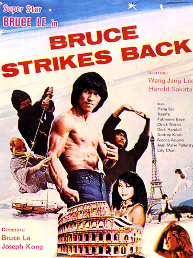 【レア作品！香港映画】ブルース・リの復讐(凶終/猛龍反撃BRUCE STRIKES BACK/NINJA STRIKES BACK)90分 ...